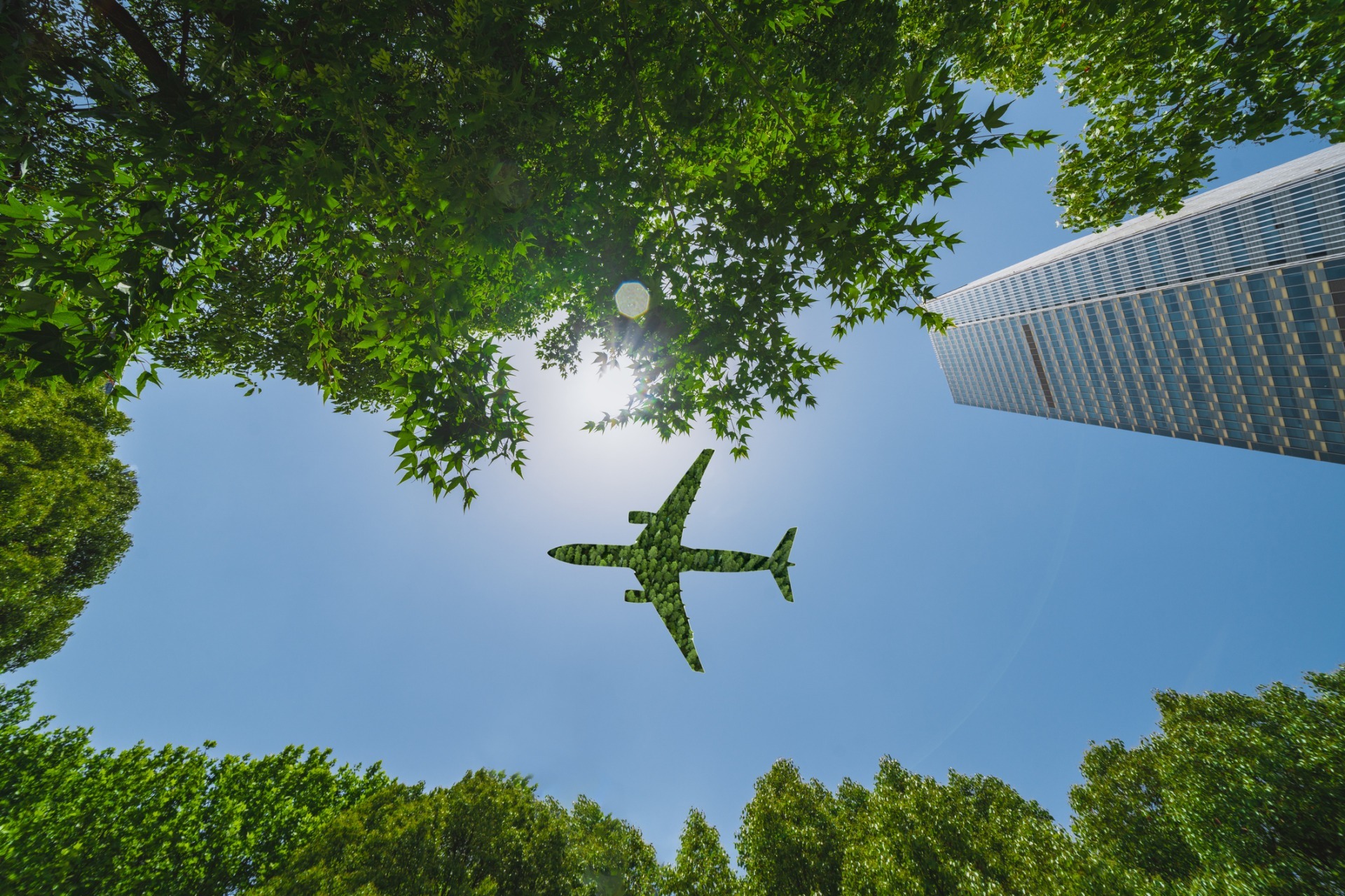 CSAE speaks out in Forbes: collaboration and innovation at the heart of ...